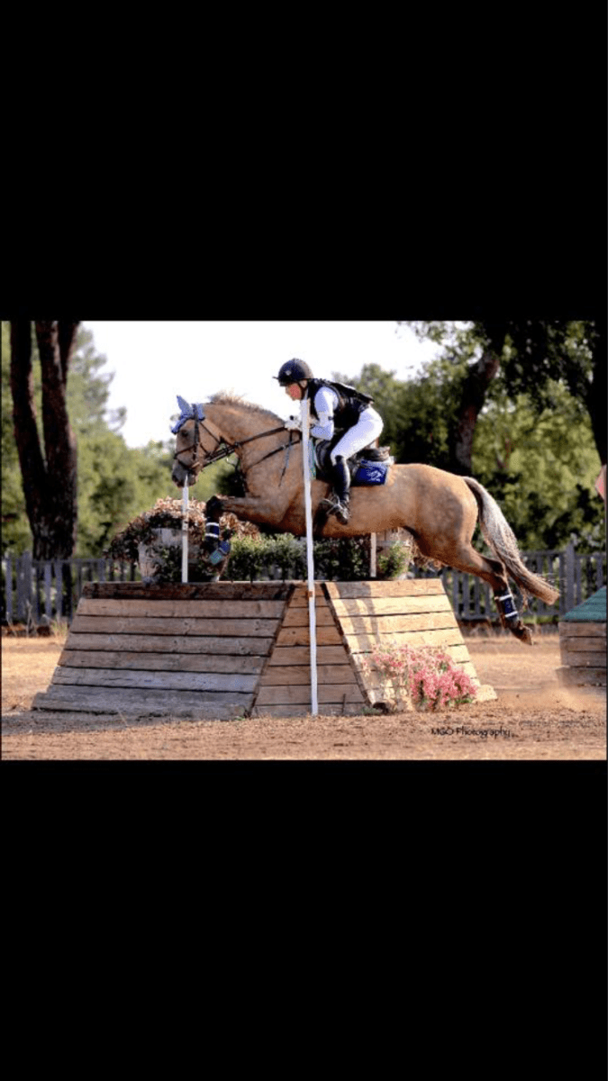 About Ashley – Ashley Carr & Vicki Baker Eventing